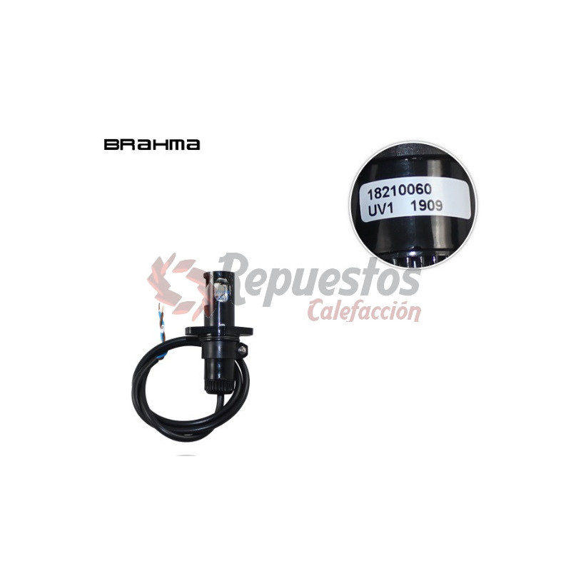 BUY UV1 STANDARD BRAHMA CELL UV